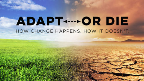 Adapt or Die: How Change Happens (and Doesn’t) - Common Thread Church